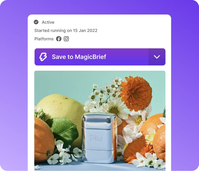 All Features - MagicBrief